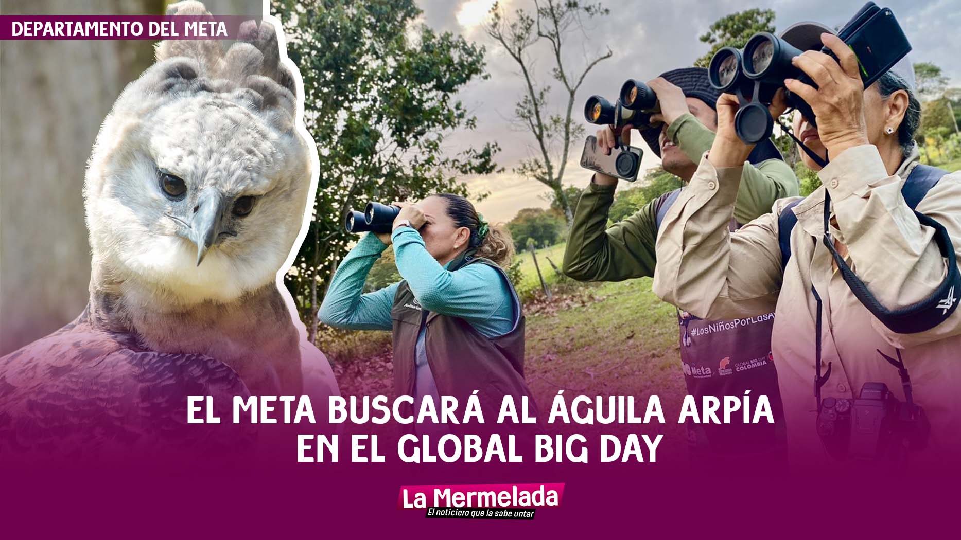 El Meta buscará al águila arpía en el Global Big Day