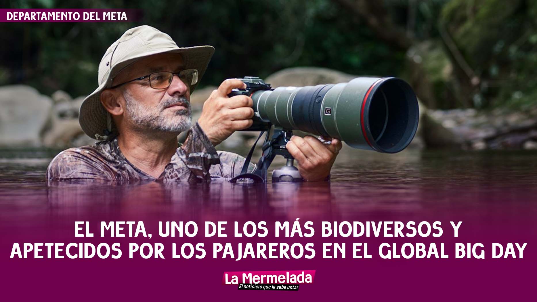 El Meta, uno de los más biodiversos y apetecidos por los pajareros en el Global Big Day